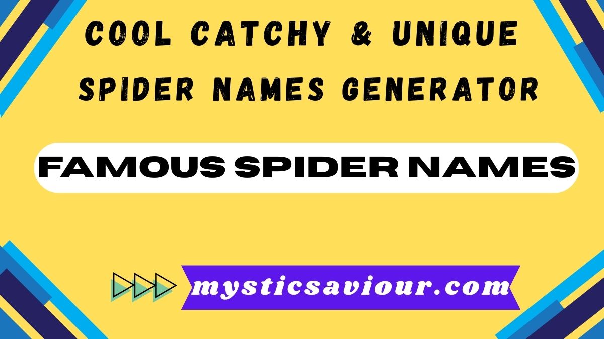 1600+ Cool Catchy & Unique Spider Names Generator