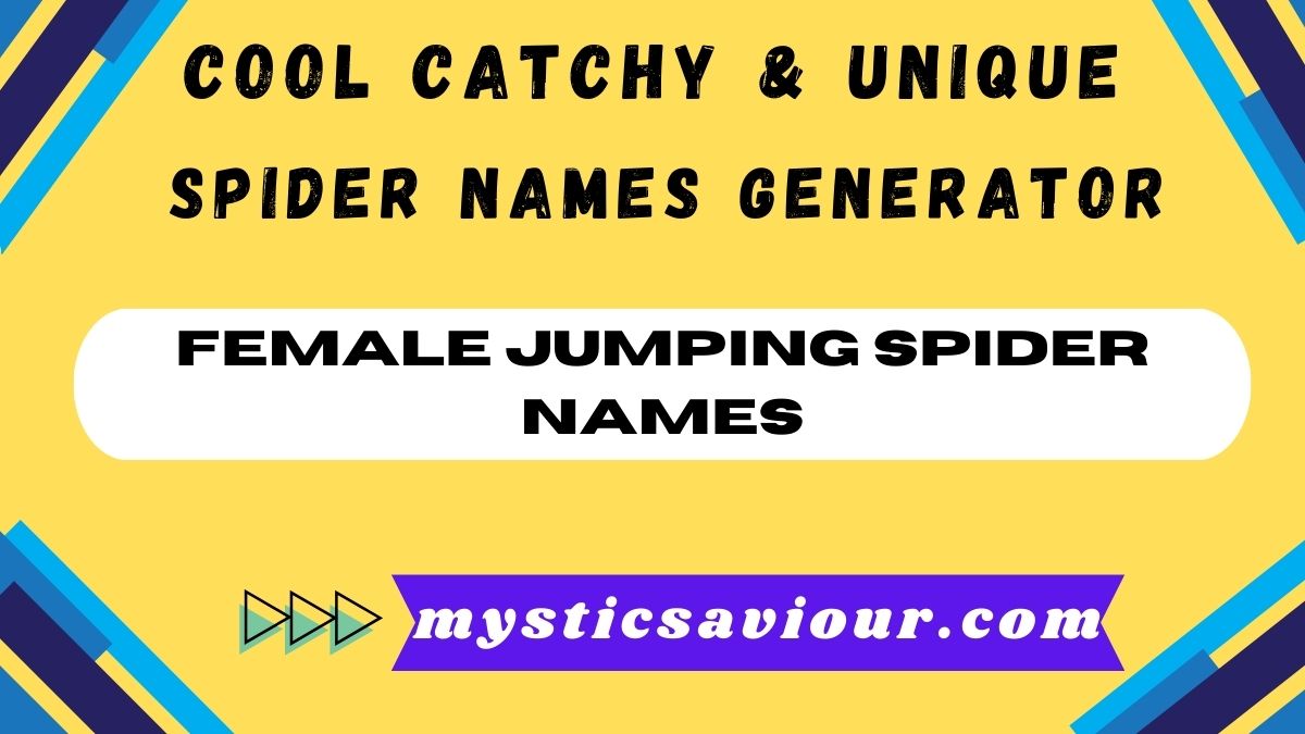 1600+ Cool Catchy & Unique Spider Names Generator