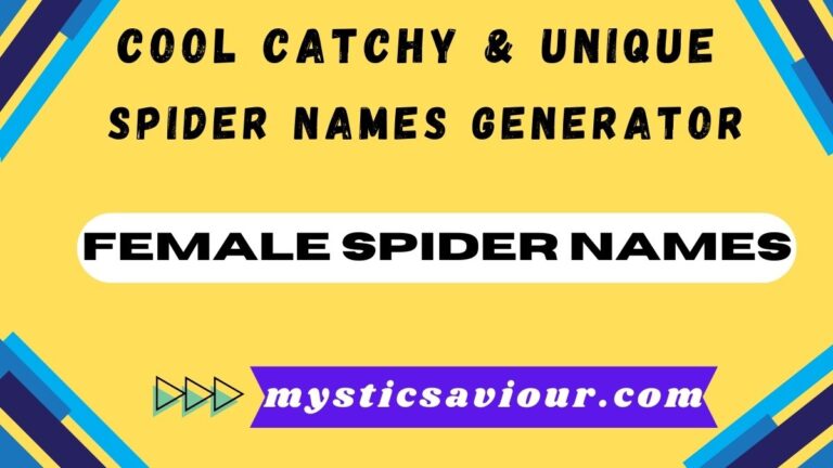 1600+ Cool Catchy & Unique Spider Names Generator